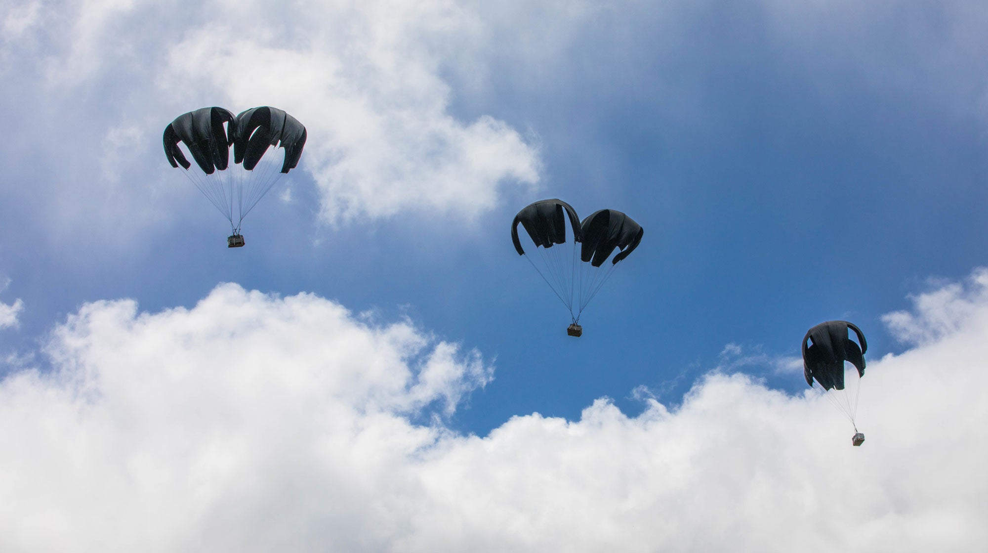 Niche Inc | Manufacturer of LCLA - Low Cost Low Altitude, Cross Parach